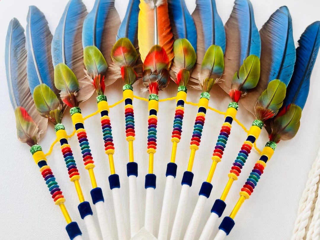Beautiful Blue and Red Macaw NAC Prayer Fan, Feather Peyote Ceremony ...