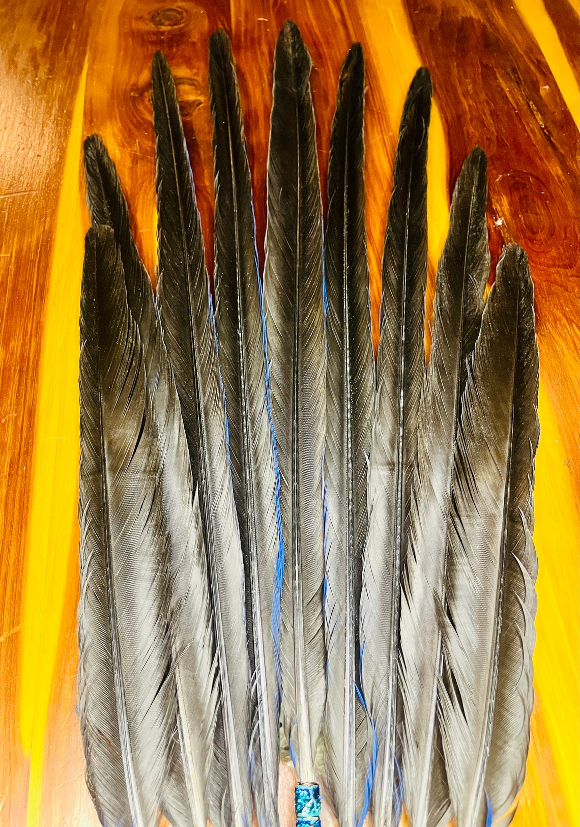 Beautiful Rare Hyacinth Macaw Feather Fan, NAC, Native American Church ...