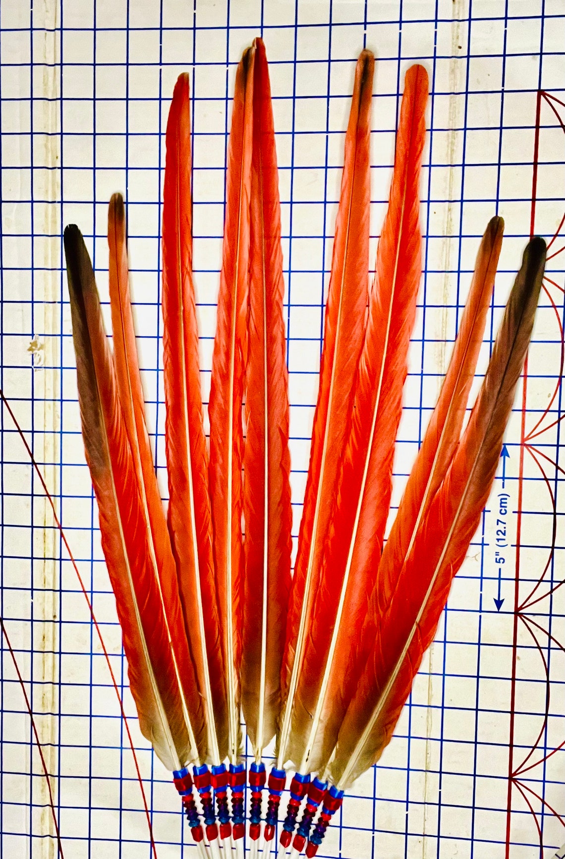 Scarlet Macaw Peyote Ceremony Feather Fan, NAC Native American Church ...