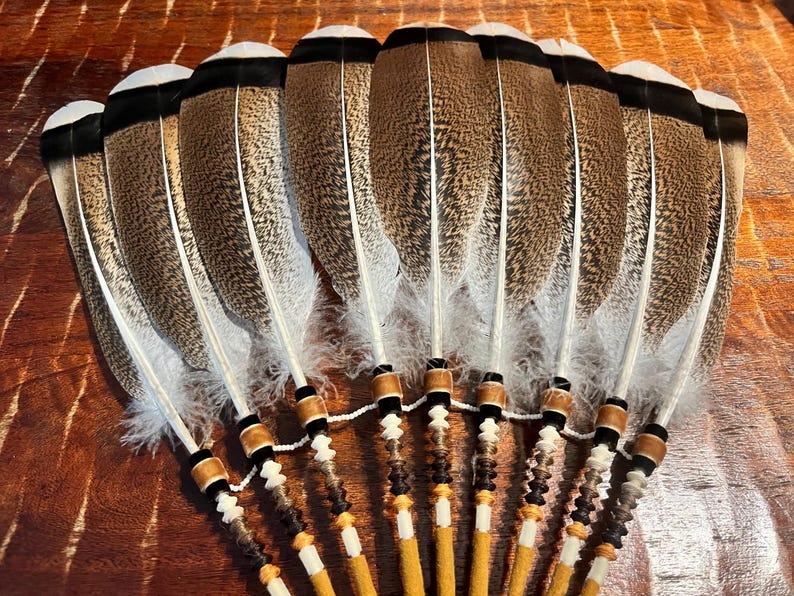NAC Peyote Fan, Ceremony Instrument, Beautiful Natural Wild Turkey ...