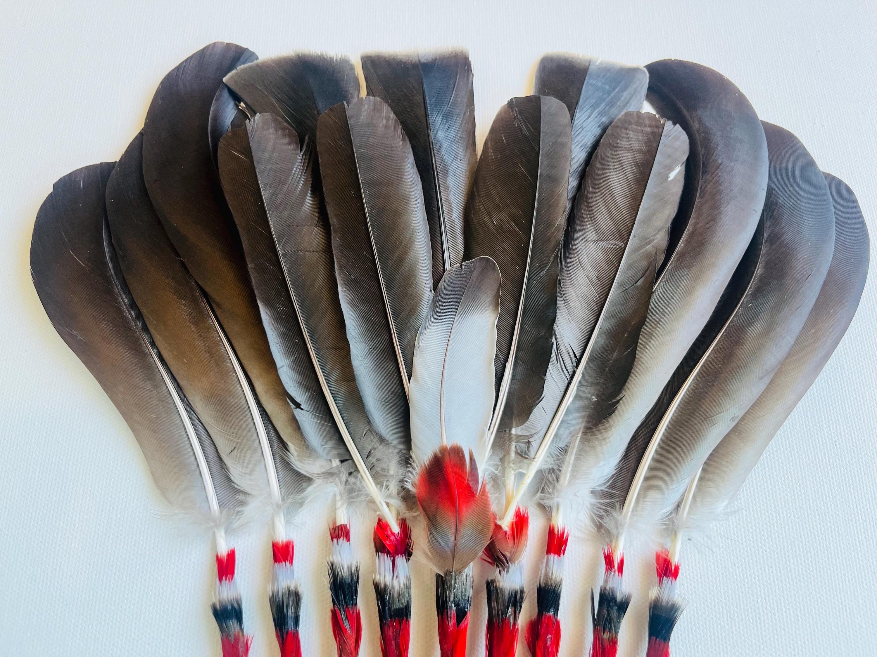 NAC Prayer Fan, Feather Peyote Ceremony Tool, Alter and Smudge Fan. - Etsy