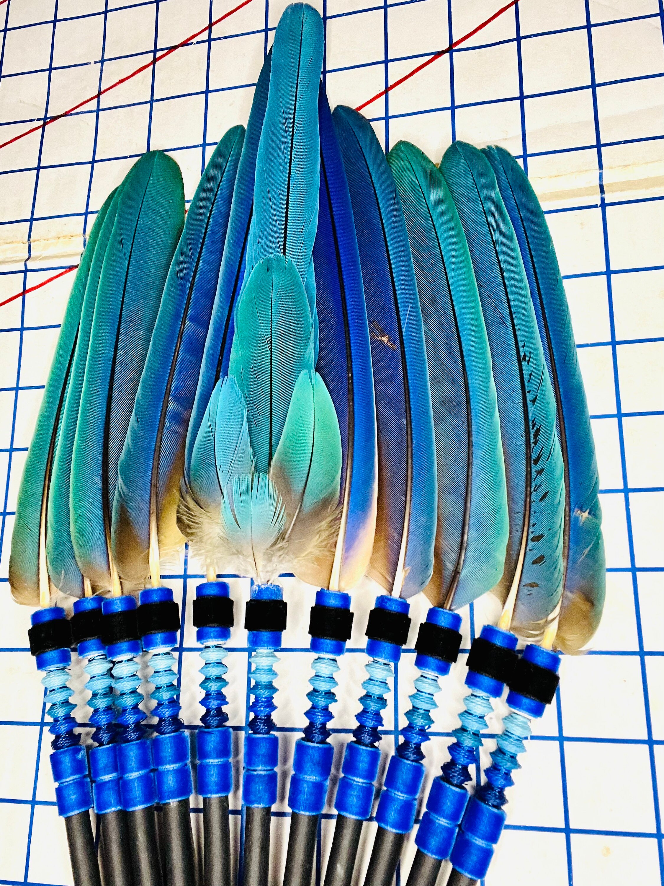 NAC Native American Church Instrument, Macaw Feather Peyote Fan, Gift ...