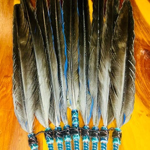 Beautiful Rare Hyacinth Macaw Feather Fan, NAC, Native American Church ...