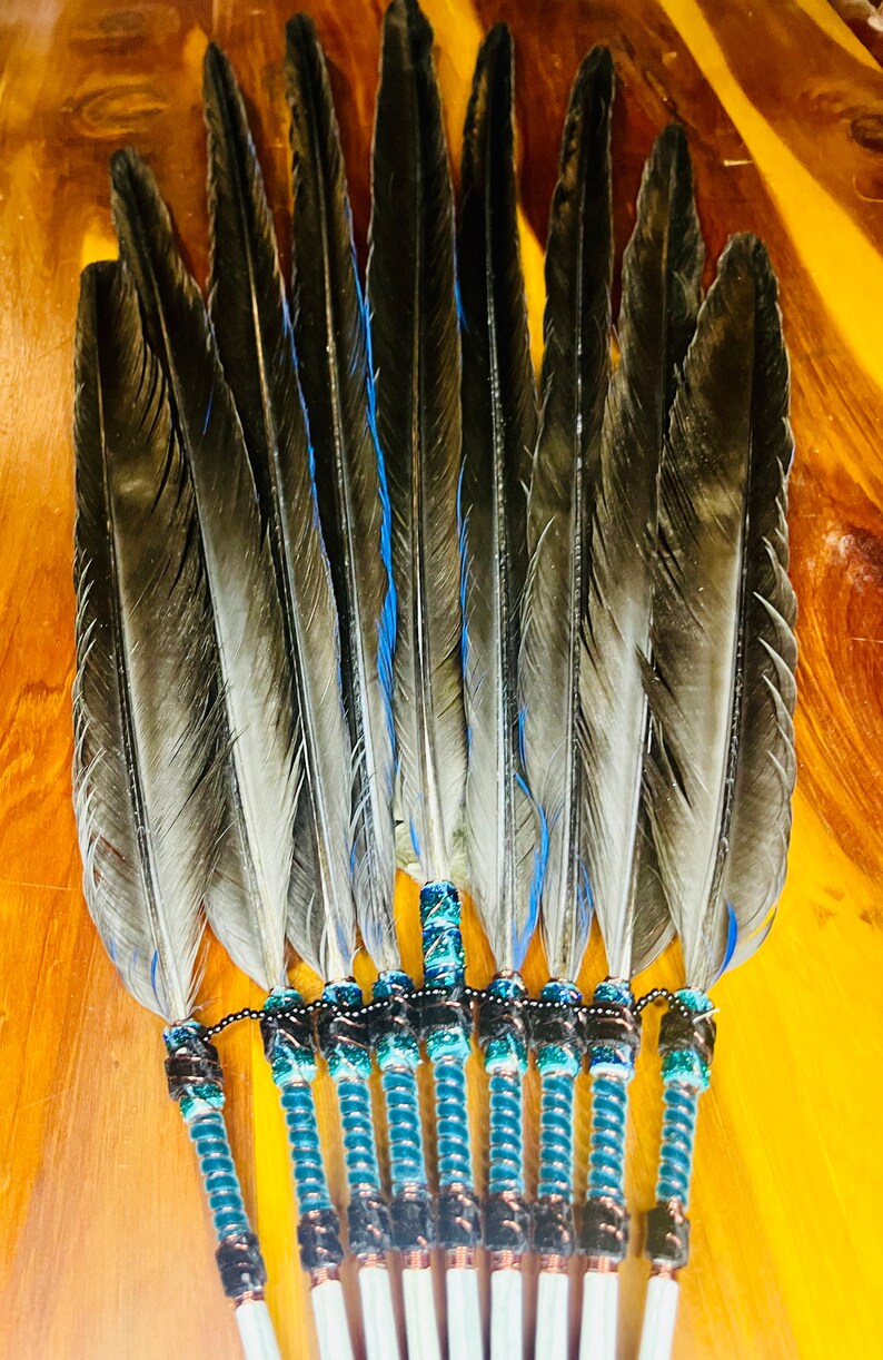 Beautiful Rare Hyacinth Macaw Feather Fan, NAC, Native American Church ...