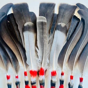 NAC Prayer Fan, Feather Peyote Ceremony Tool, Alter and Smudge Fan. - Etsy