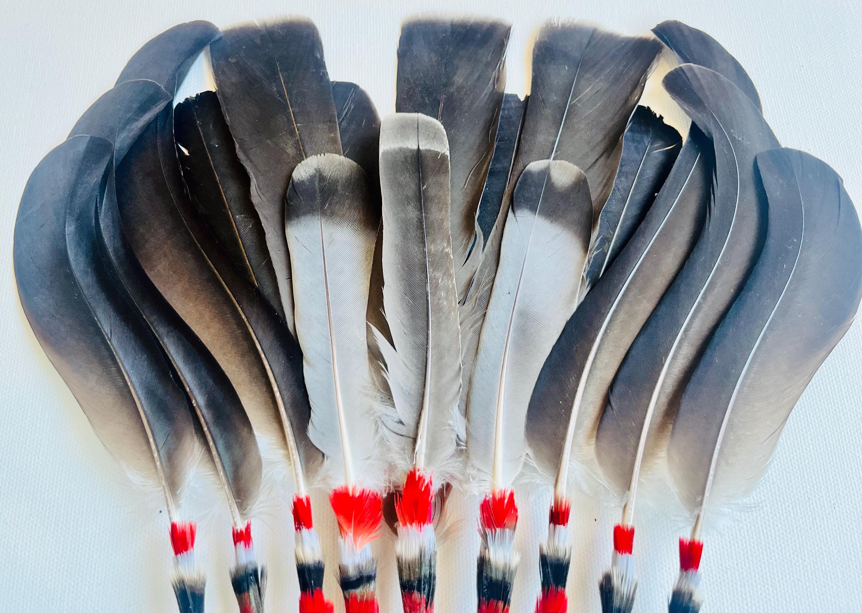 NAC Prayer Fan, Feather Peyote Ceremony Tool, Alter and Smudge Fan. - Etsy