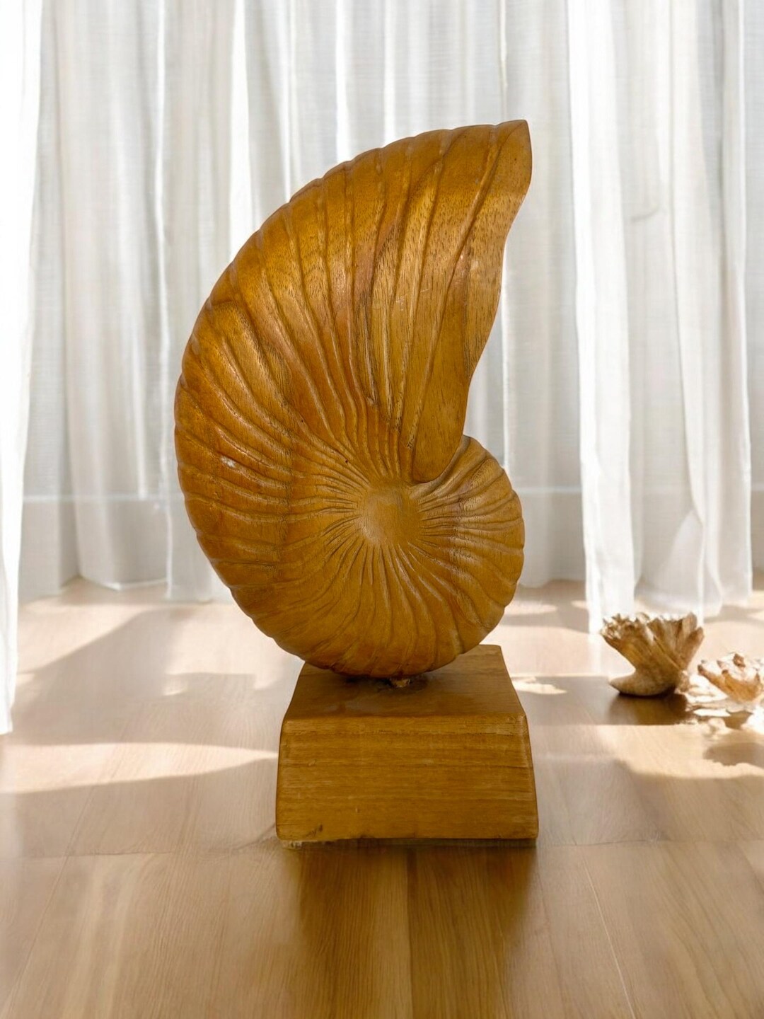 Carved Wood Nautilus Shell in Pedestal 12” /coastal Modern/beach Decor ...