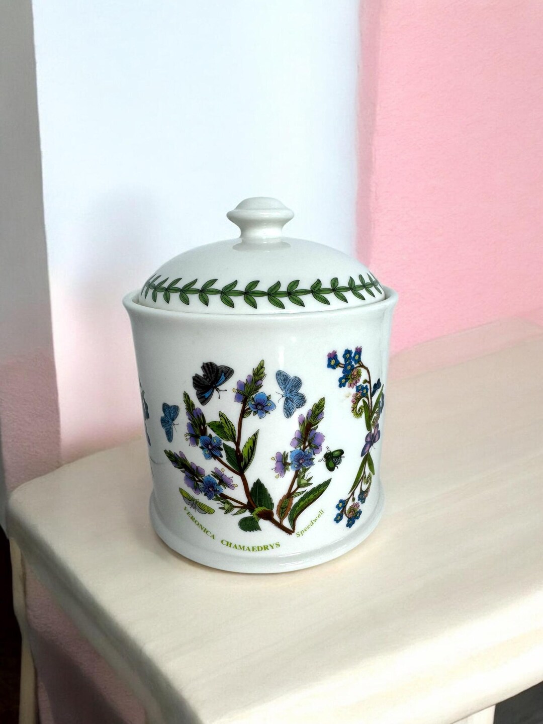 Portmeirion Botanic Garden Speedwell Canister /floral Canister/counter ...