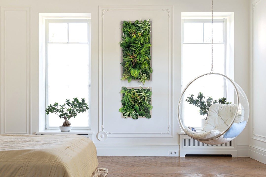 Plant Frame/plant Picture/moss Picture/plant Wall - Etsy