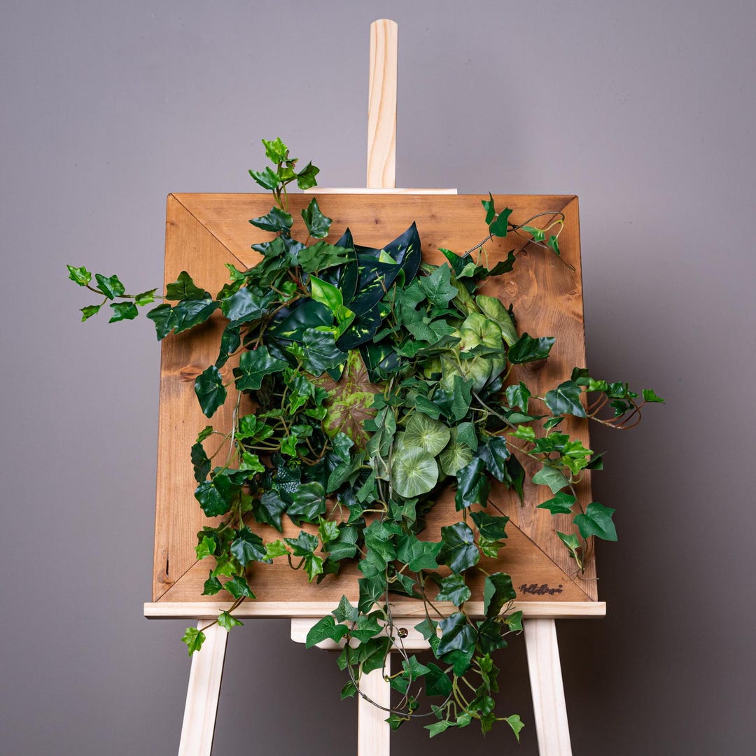 Plant Frame/plant Picture/moss Wall/moss Picture/green Wall "vinca ...