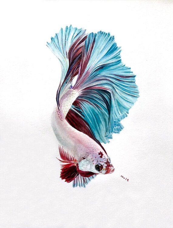 Painting Watercolor Art & Collectibles Original Red Blue Betta ...