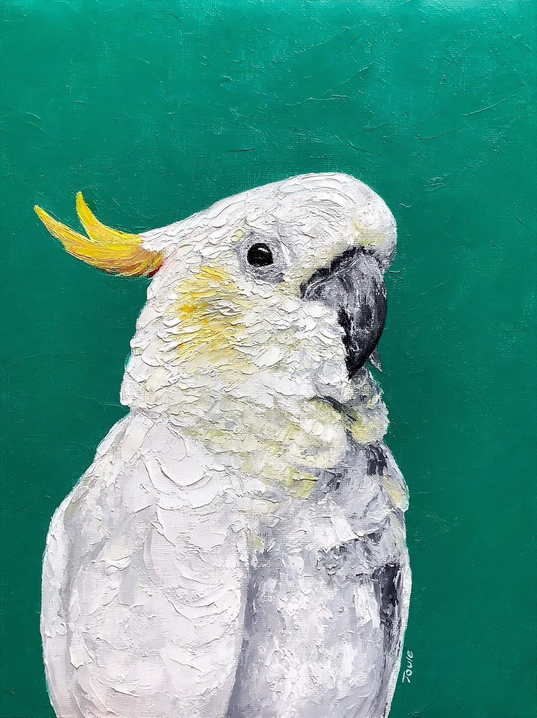 Cockatoo - Original Oil Painting, Parrot Bird Portrait Art, 9x12 - Etsy