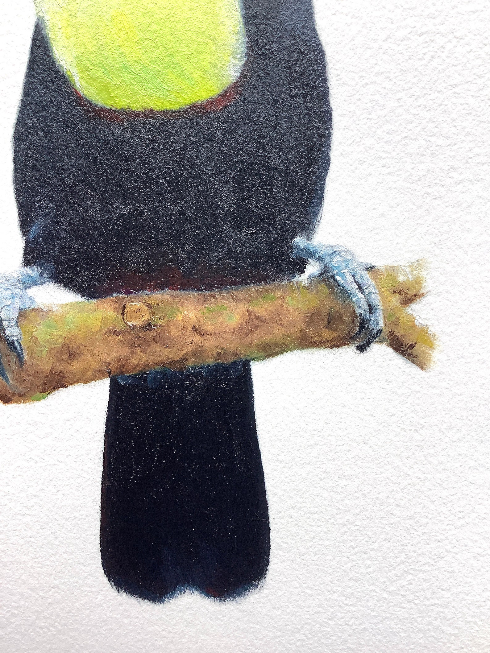 Toucan Original Oil Painting, Animal Illustration, Birds Art, Modern ...