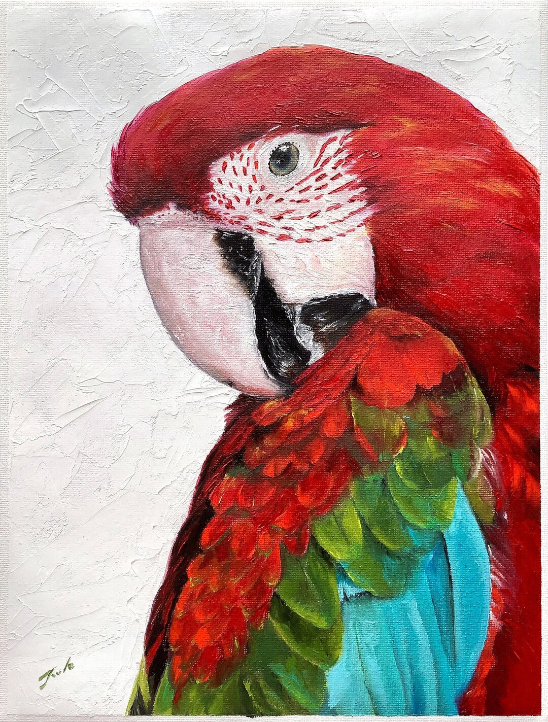 Scarlet Macaw - Original Oil Painting by Locatehereart, 9x12 - Etsy