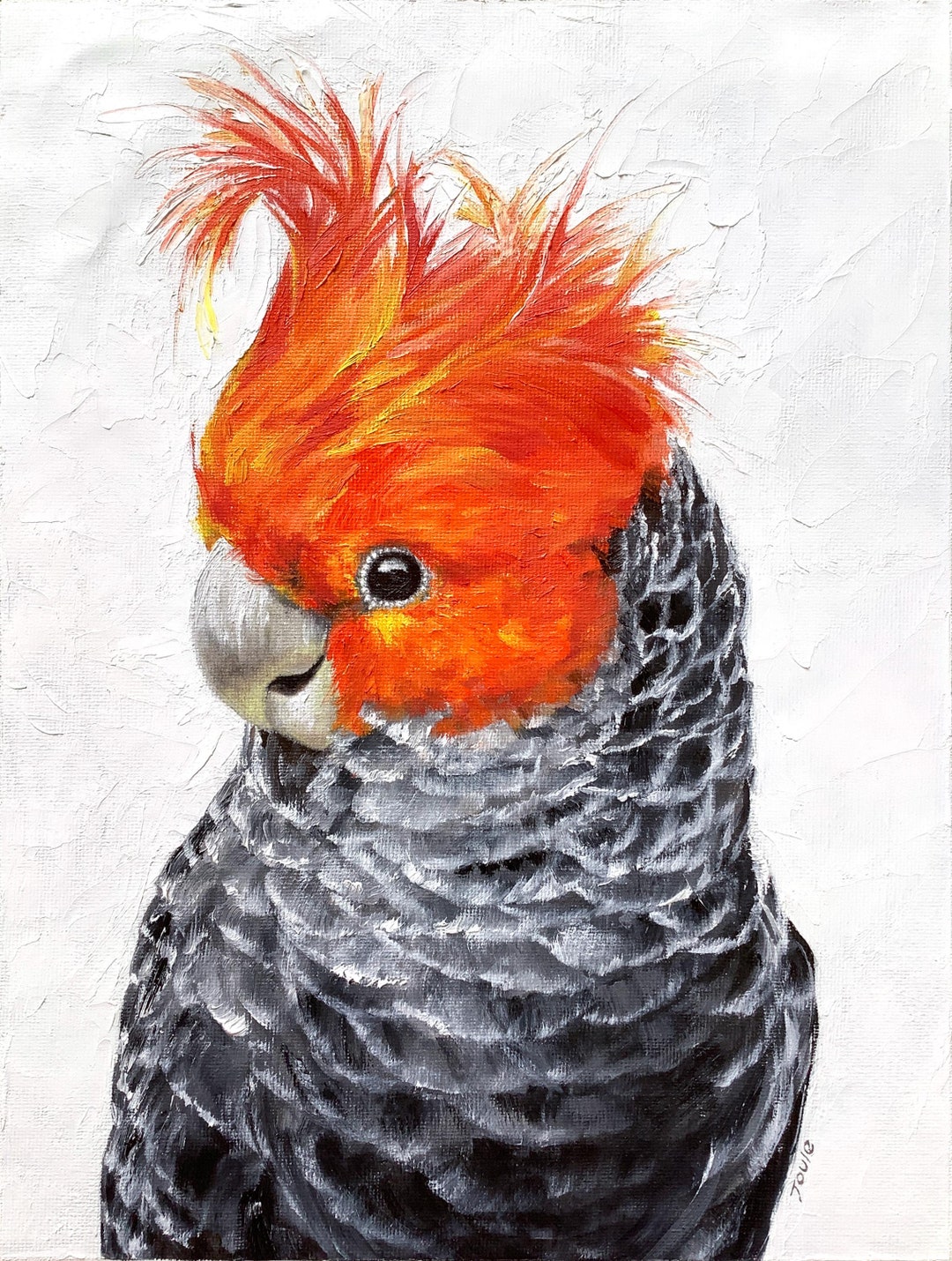 Gang-gang Cockatoo - Original Oil Painting, Bird Art, Animal Portrait ...