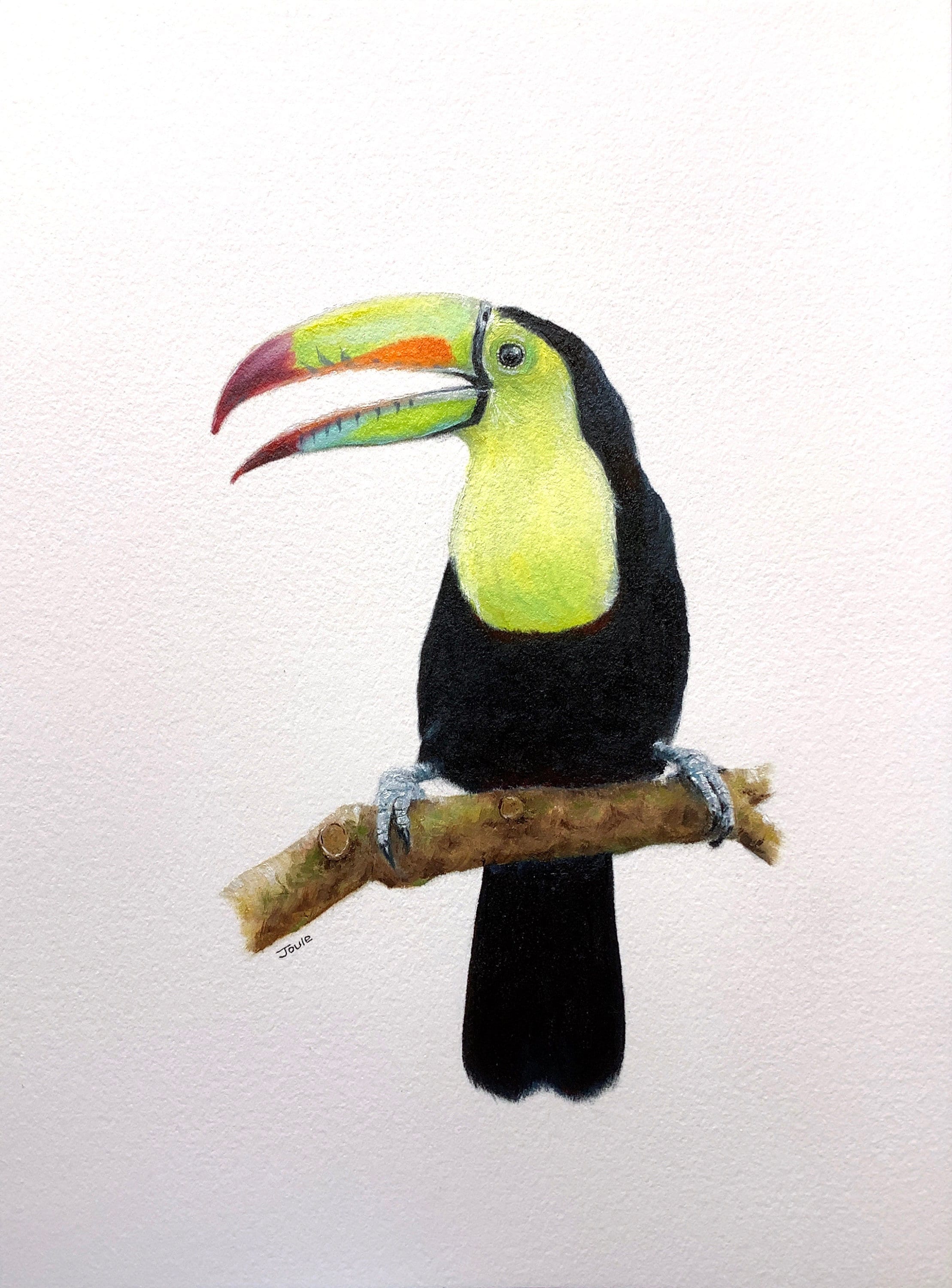 Toucan Original Oil Painting, Animal Illustration, Birds Art, Modern ...
