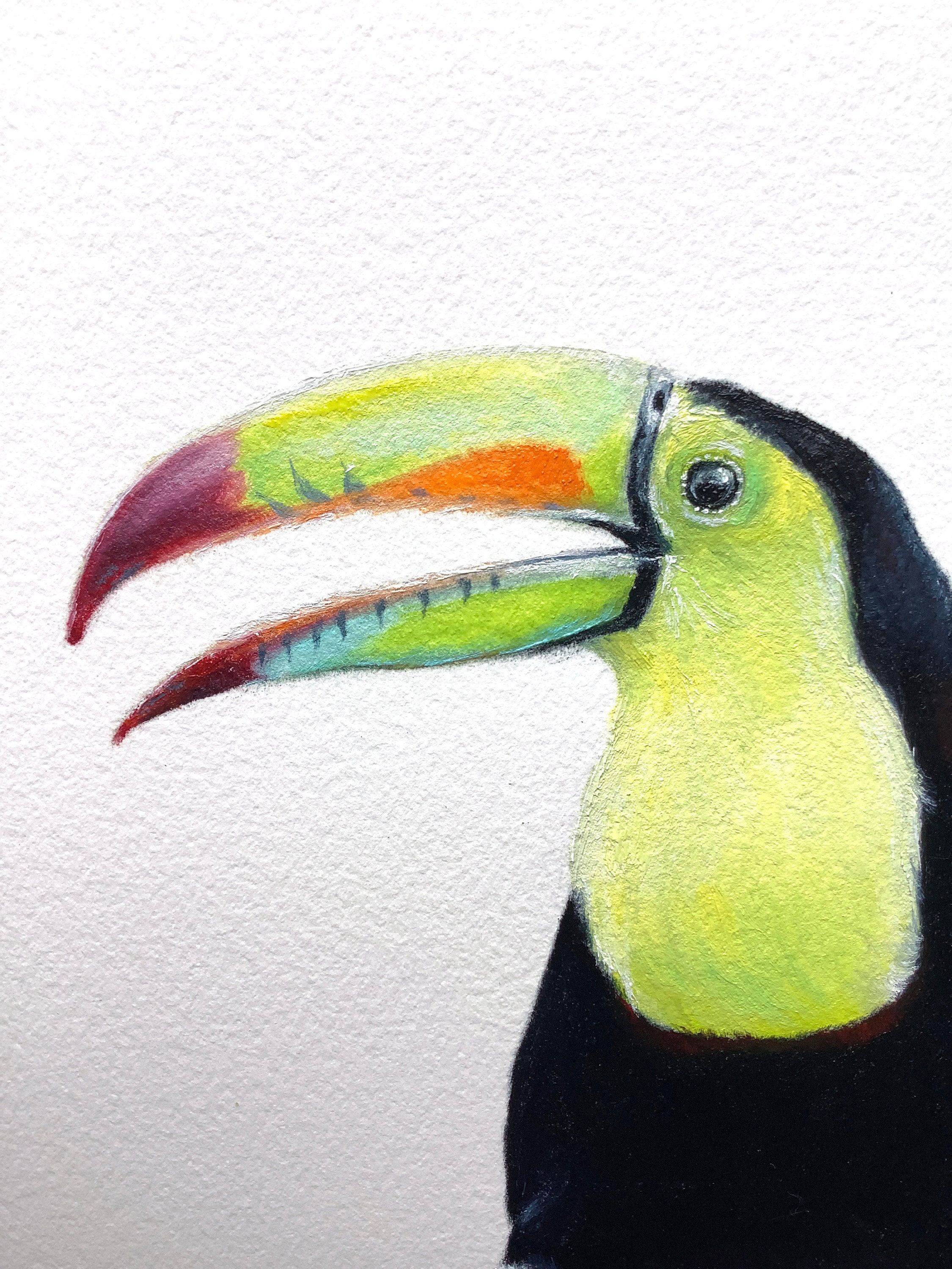 Toucan Original Oil Painting, Animal Illustration, Birds Art, Modern ...