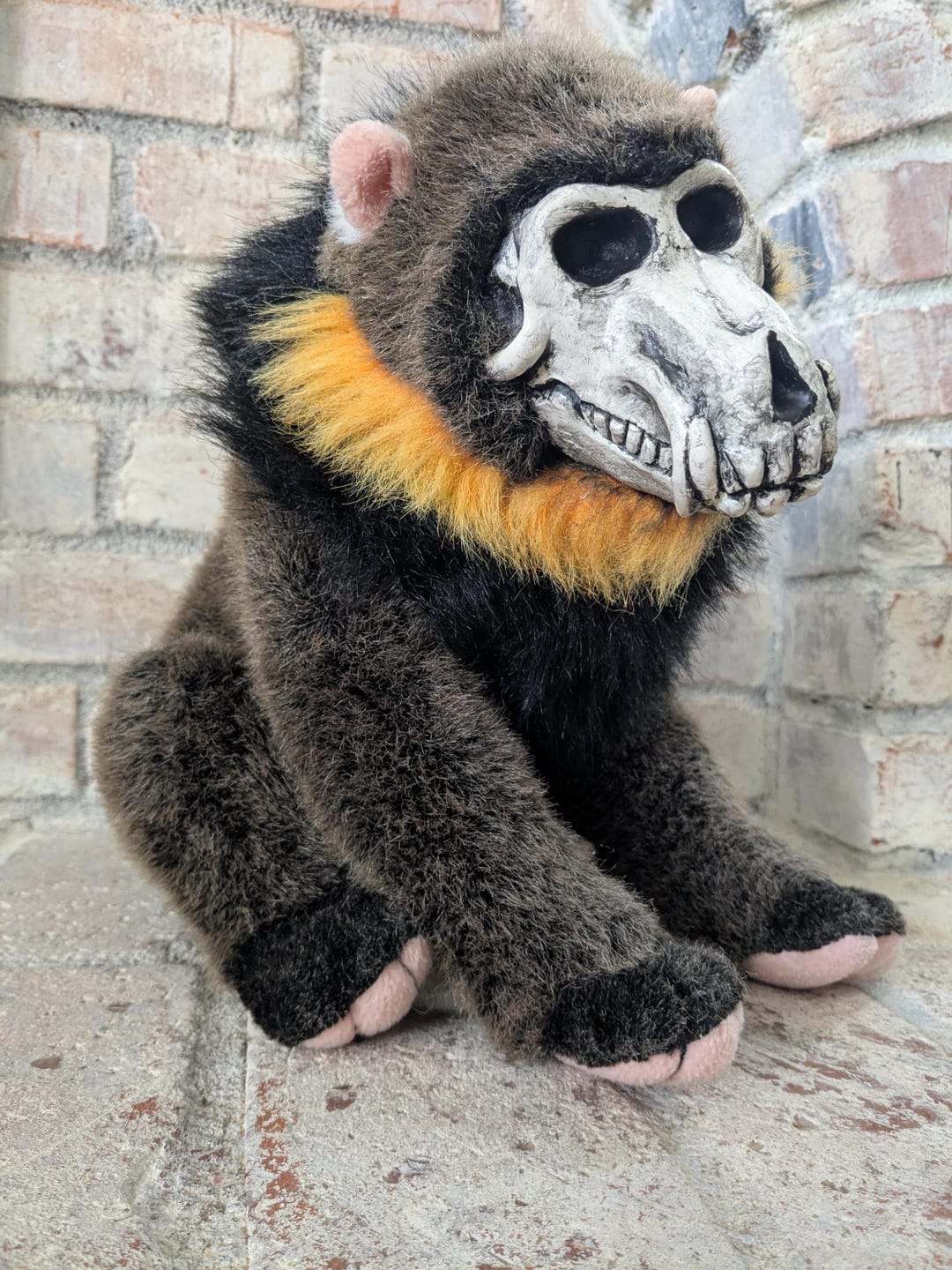 Skull Faced Baboon - Etsy