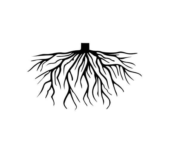 Roots Svg Tree Roots Svg Tree Roots Cricut SVG PNG EPS - Etsy Australia