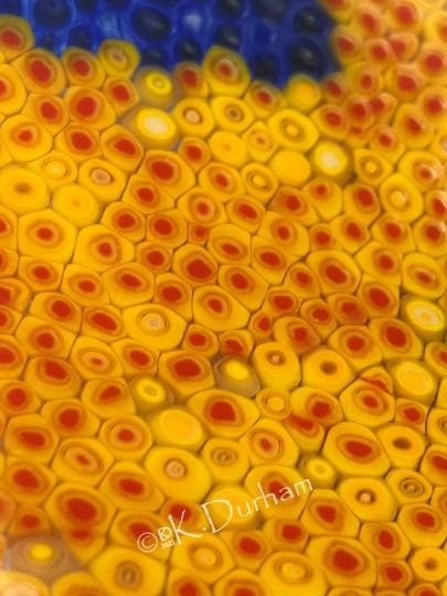 Blue, Yellow and Orange Murrini Bowl - Etsy