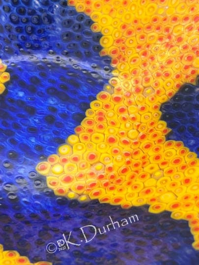 Blue, Yellow and Orange Murrini Bowl - Etsy