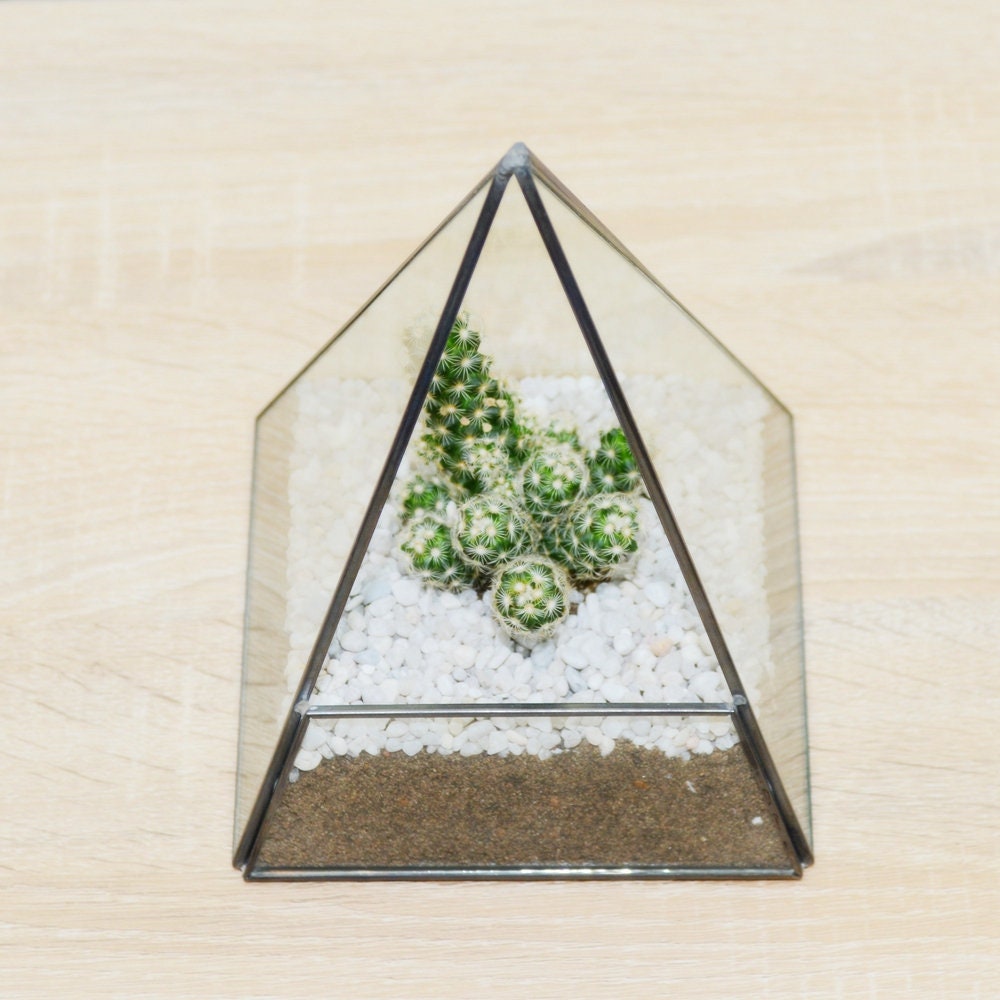 Cactus Terrarium DIY Kit Pyramid Glass Vase Mothers Day Birthday Gift ...