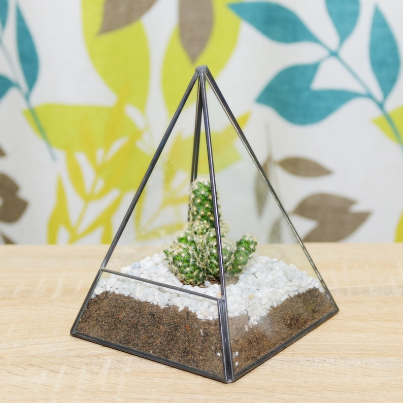 Cactus Terrarium DIY Kit Pyramid Glass Vase Mothers Day Birthday Gift ...