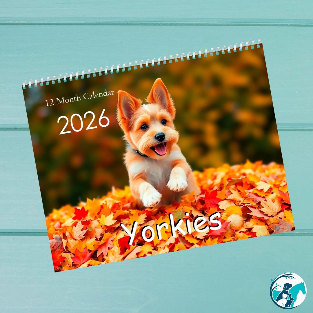 2026 Yorkshire Terrier 12 Month Calendar - Yorkie Breed Dog Puppy Lover ...