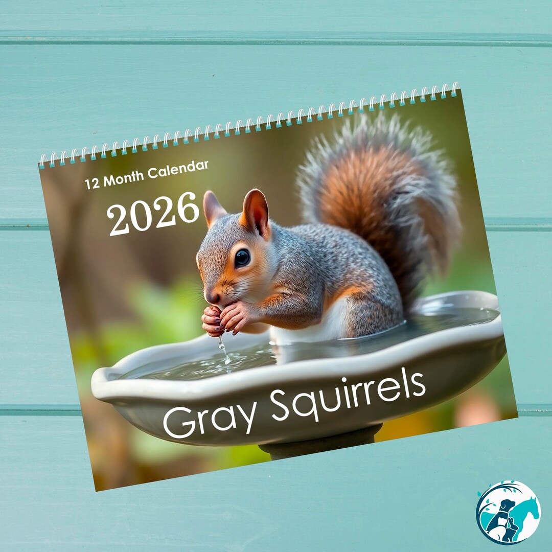Gray Squirrels 2026 12 Month Calendar - Grey Squirrel Monthly Wall ...