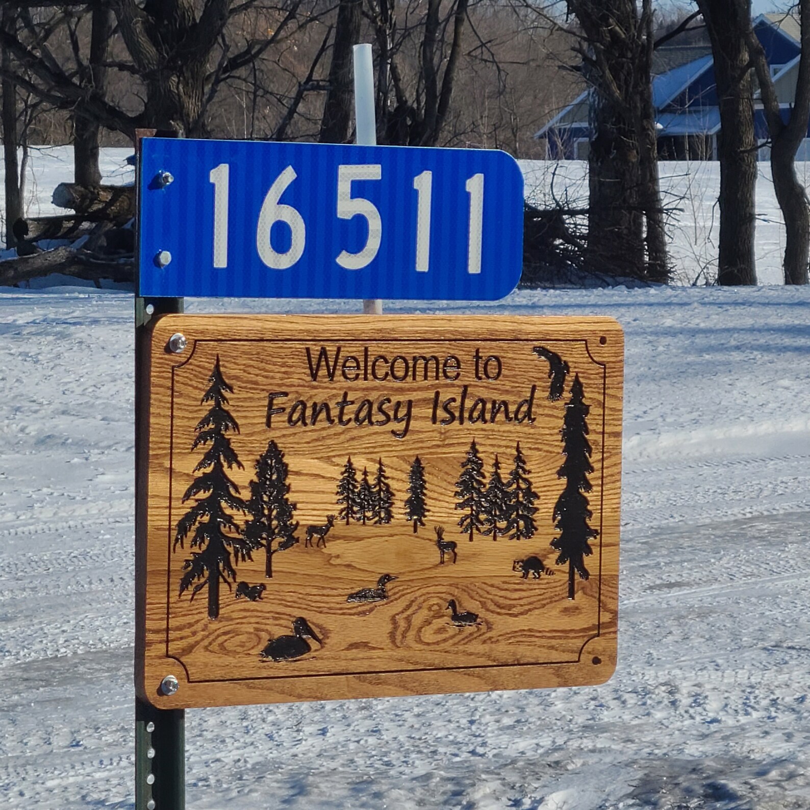 Critters Family Cabin Signs, Welcome or Lake Home Signs, Personalized ...