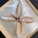 Quilled Ornament - Etsy