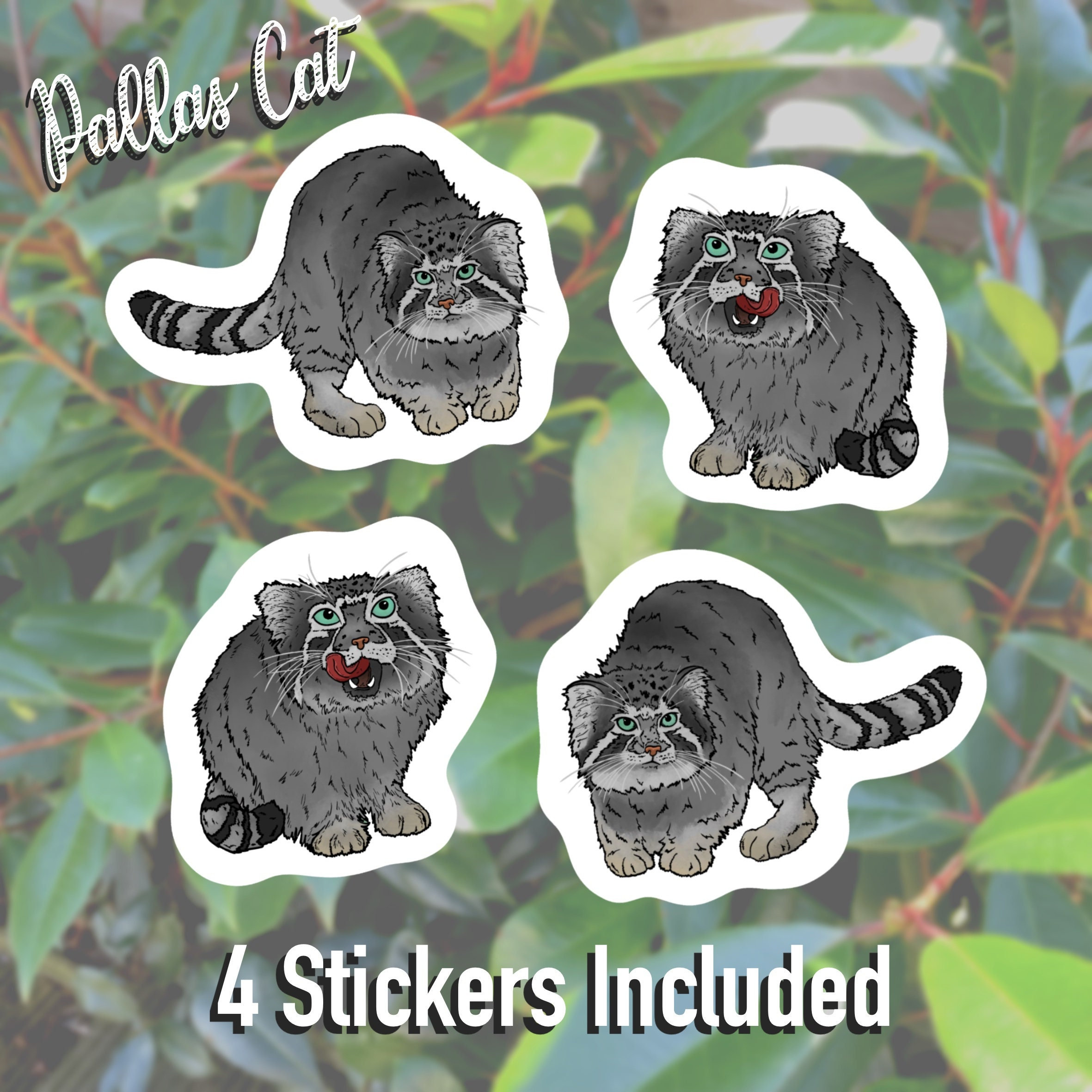 Pallas’s Cat Sticker Pack of 4, Stickers Scrapbook Scrapbooking Matte ...