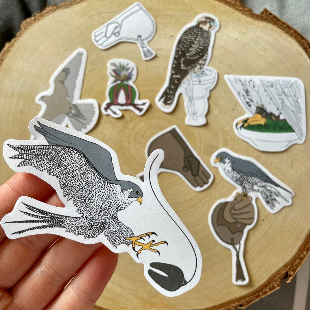 Falconry Sticker Set Pack of 8, Bird of Prey Animal Peregrine Gyr Saker ...