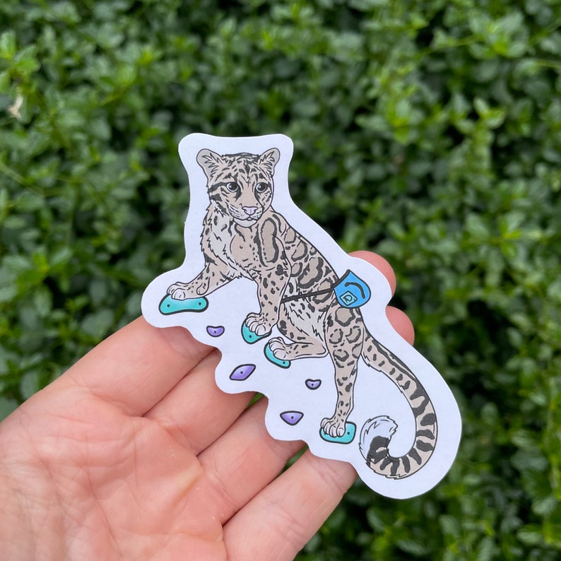 Rock Climbing Animal Stickers Set of 6 Decal Climb Climber Gift ...