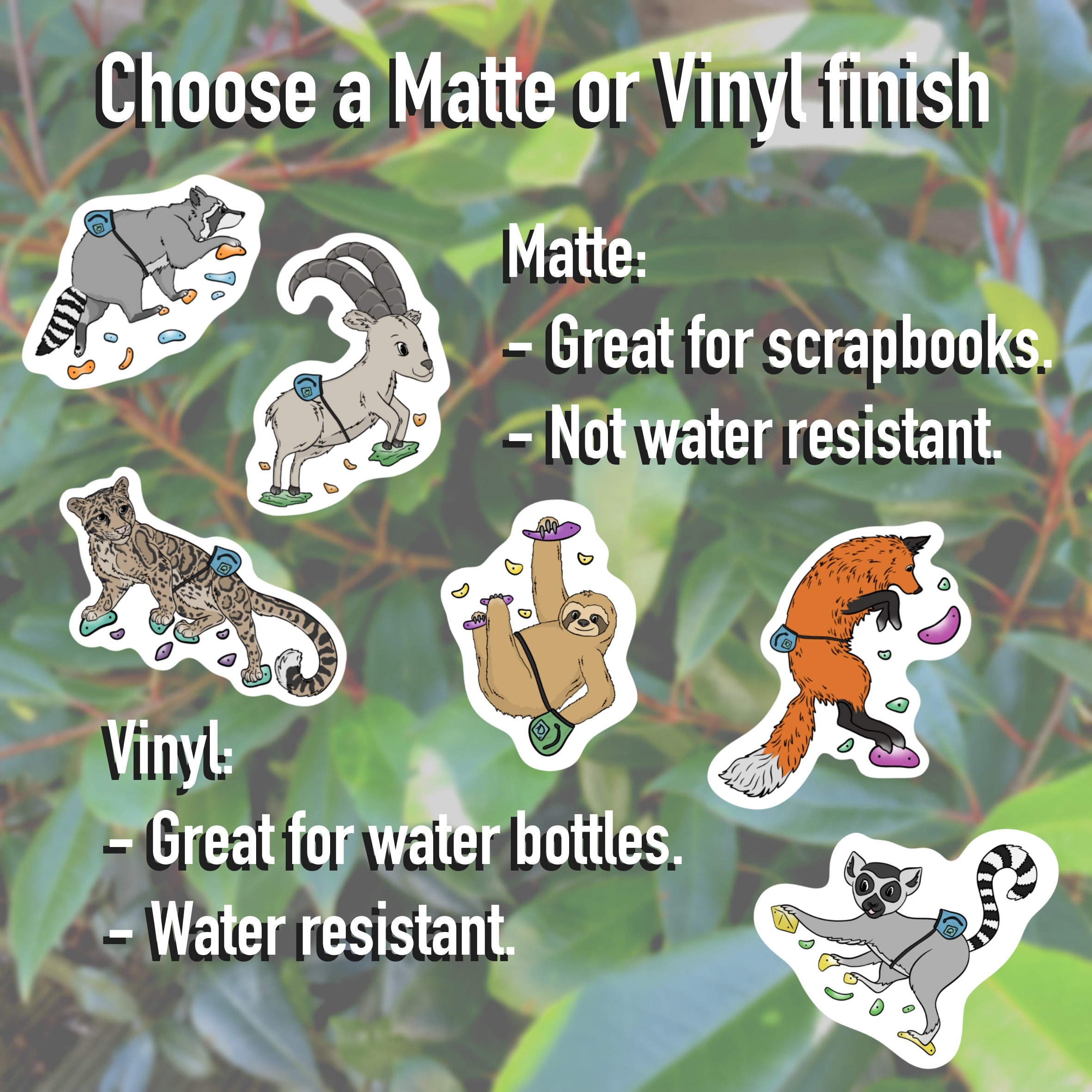 Rock Climbing Animal Stickers Set of 6 Decal Climb Climber Gift ...