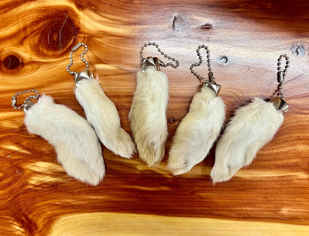 Rabbits Foot Keychain / Real Rabbits Foot / Lucky Rabbits Foot ...
