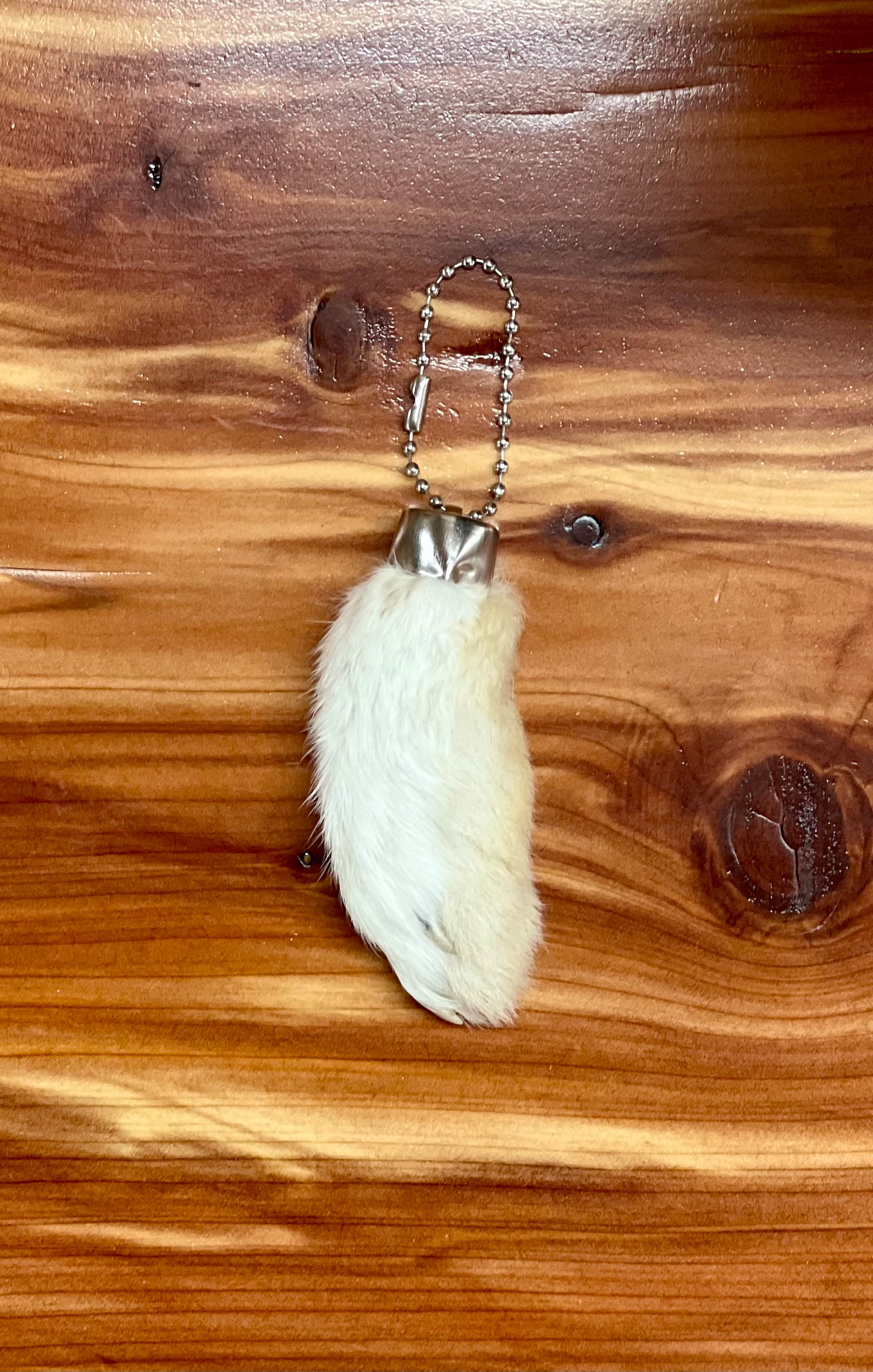Rabbits Foot Keychain / Real Rabbits Foot / Lucky Rabbits Foot ...