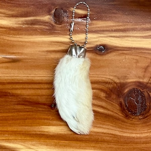 Rabbits Foot Keychain / Real Rabbits Foot / Lucky Rabbits Foot ...