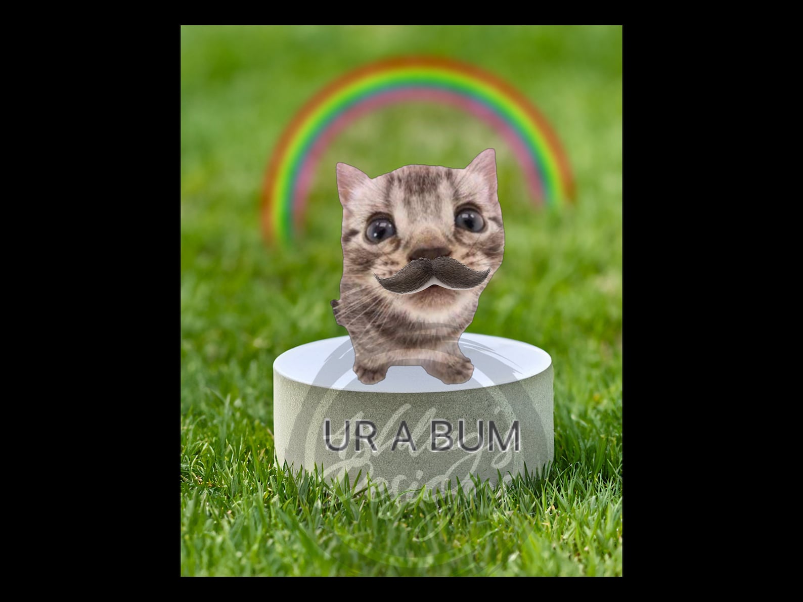 Silly Background - Screensaver - Etsy