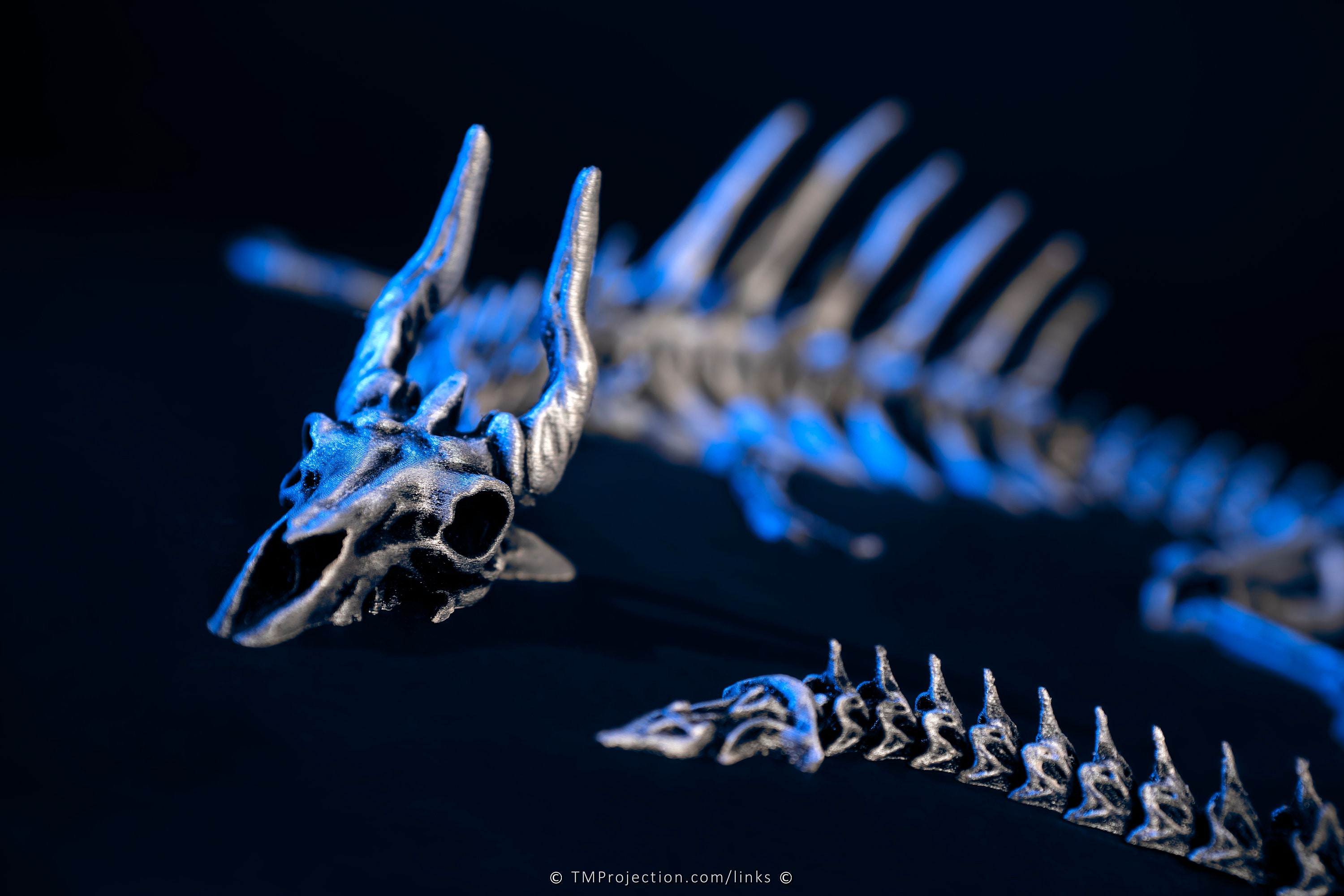 Skeleton Dragon DIGITAL FILES Articulated Fidget Toy Dead Skeletal ...