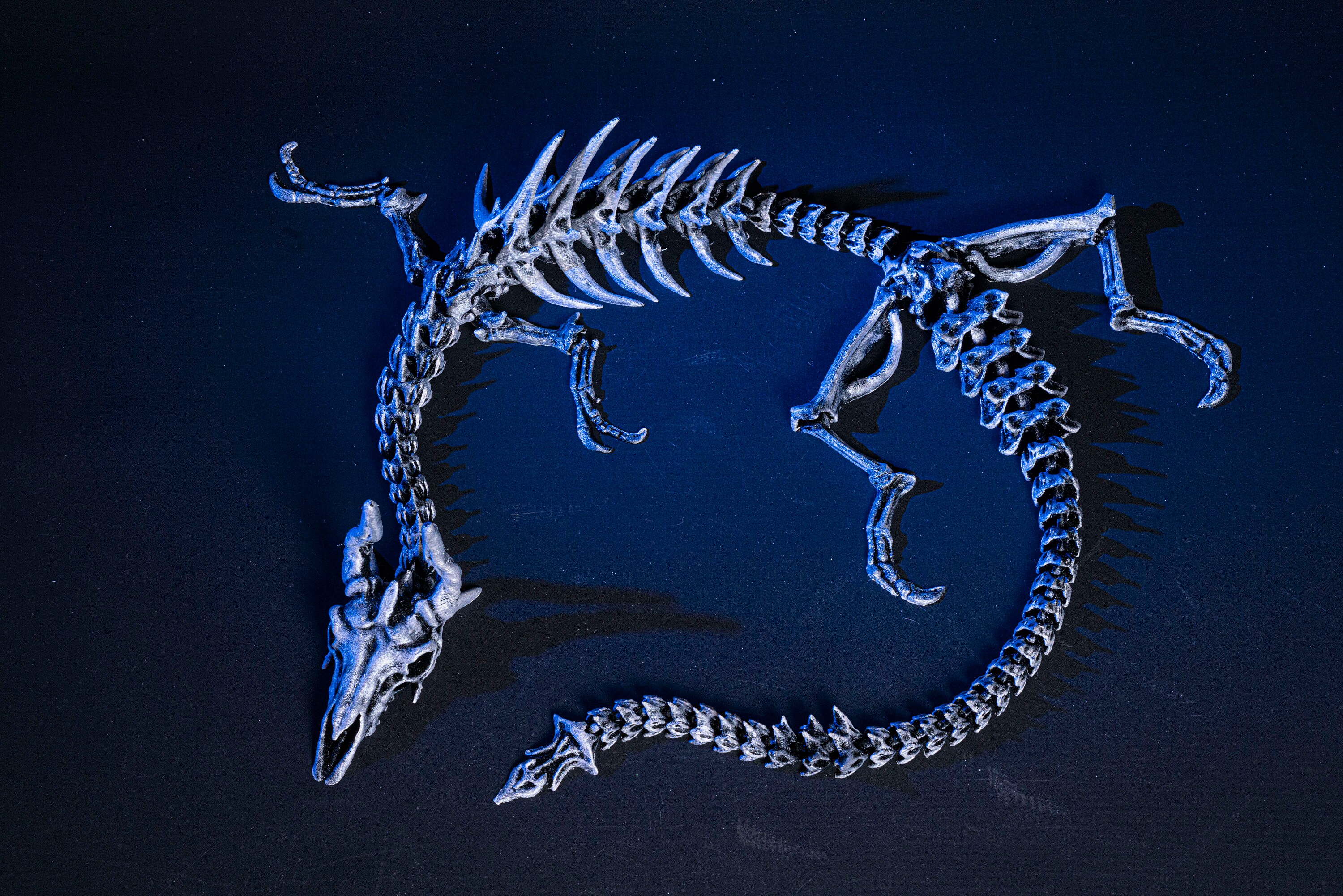 Skeleton Dragon DIGITAL FILES Articulated Fidget Toy Dead Skeletal ...