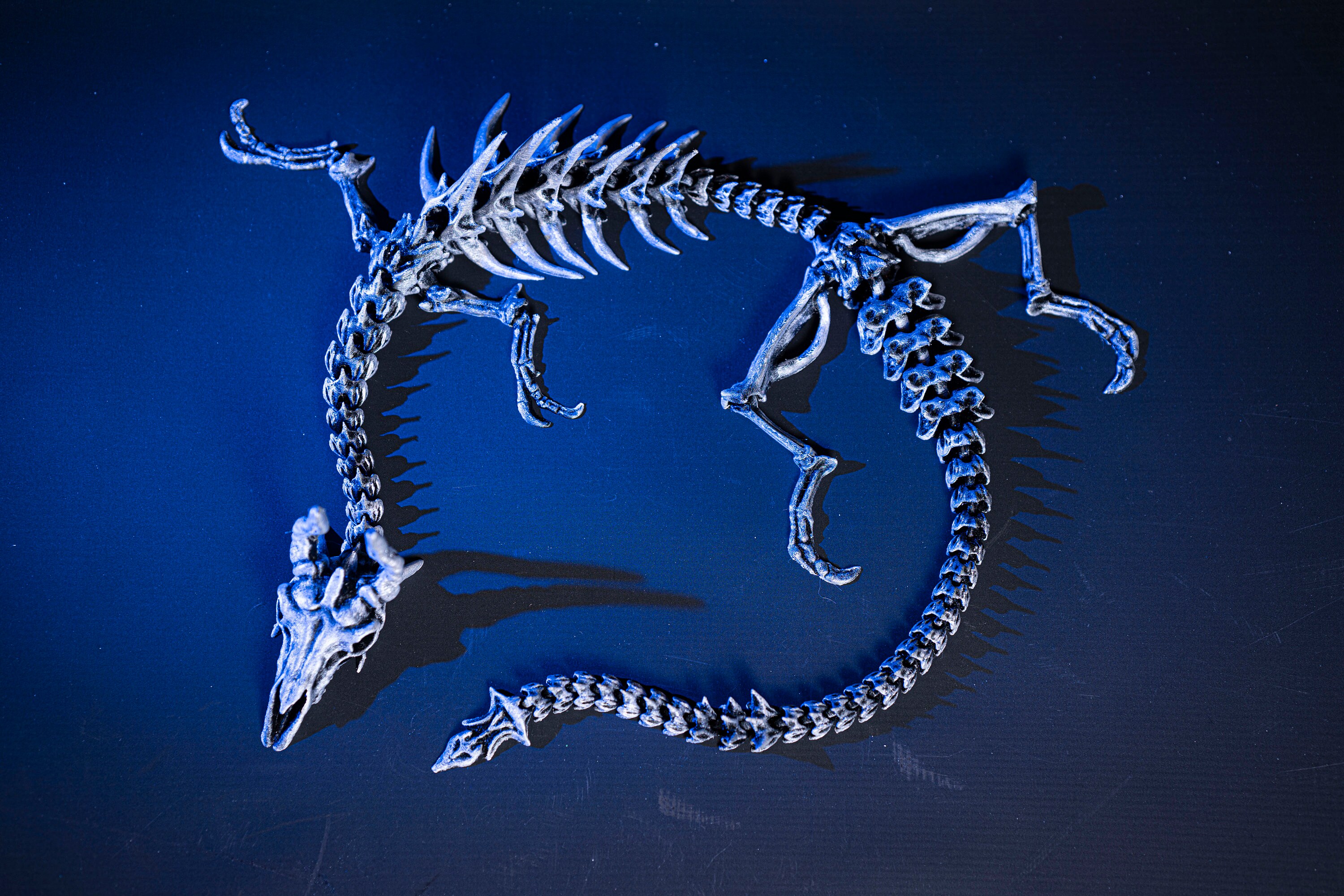 Skeleton Dragon DIGITAL FILES Articulated Fidget Toy Dead Skeletal ...