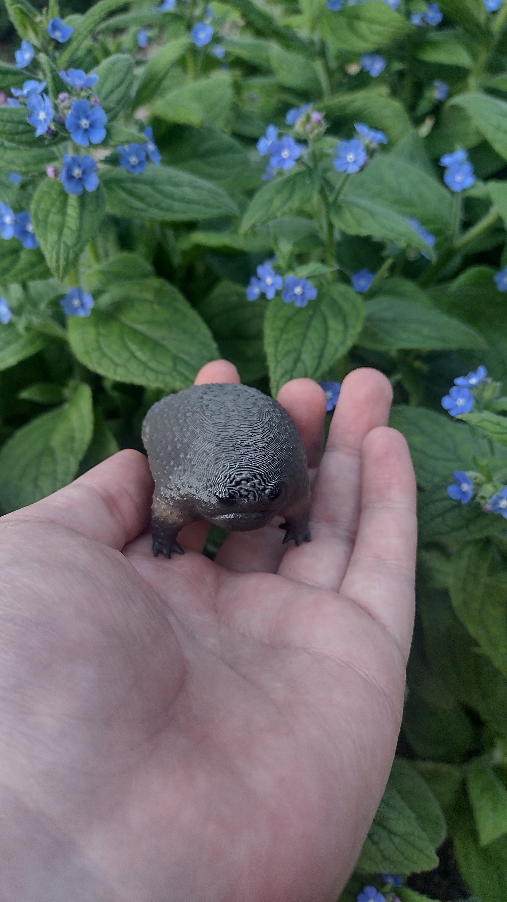 Black Rain Frog Avocado Frog Hand-painted Collectible | Tiny Grumpy ...