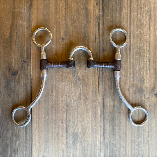 Equine Bit Decor - Etsy