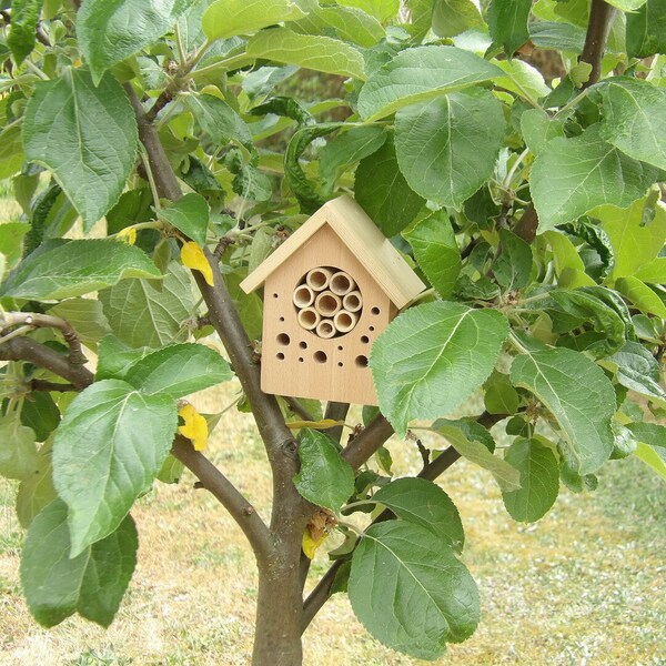 Insect Hotel - Etsy