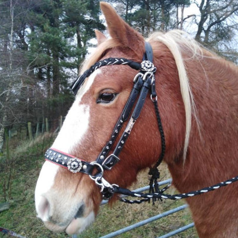 Baroque Bridle - Etsy