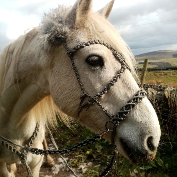 Medieval Horse Tack - Etsy