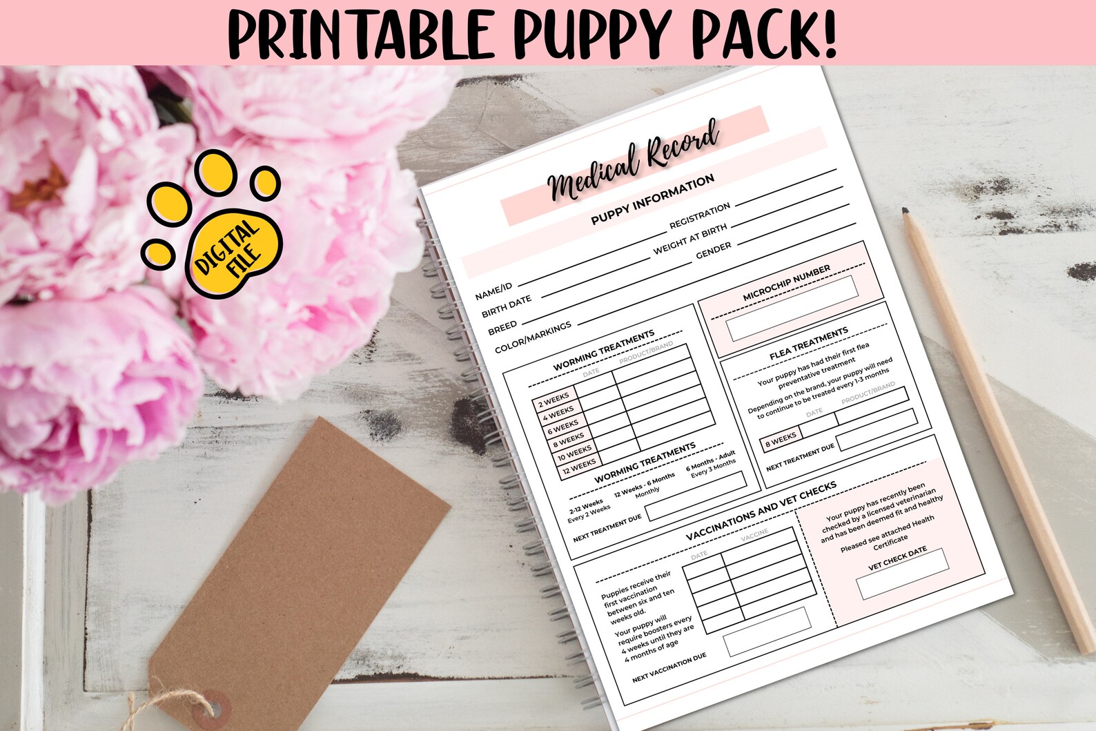 Printable Pet Planner Bundle, Pet Care Sheets, Pet Sitter Notes, New ...