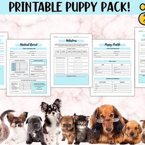 Printable Pet Planner Bundle, Pet Care Sheets, Pet Sitter Notes, New ...