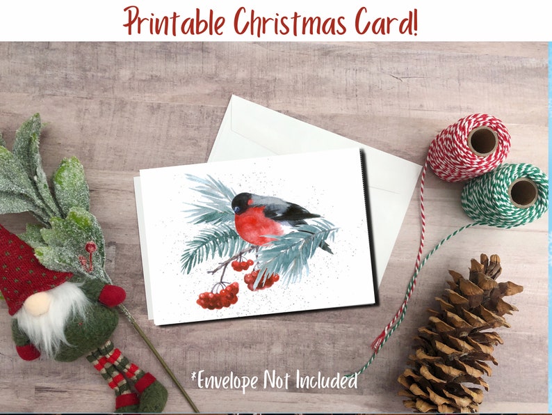 Printable Bird Greeting Card Digital Card Christmas Card - Etsy